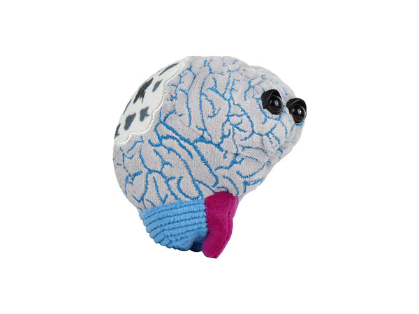 Depression Brain Giant Microbe - Questacon