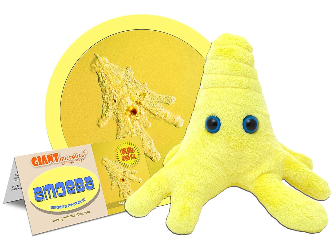 Giant Microbes - Questacon