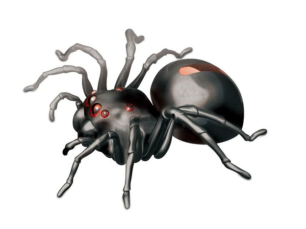 Saltwater Spider Robot - Questacon