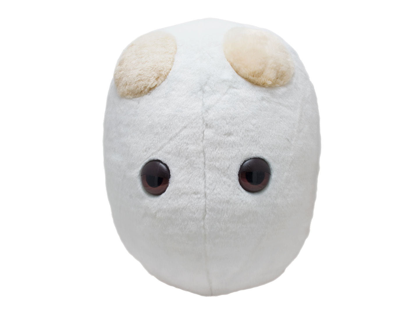Giant Microbes - Questacon