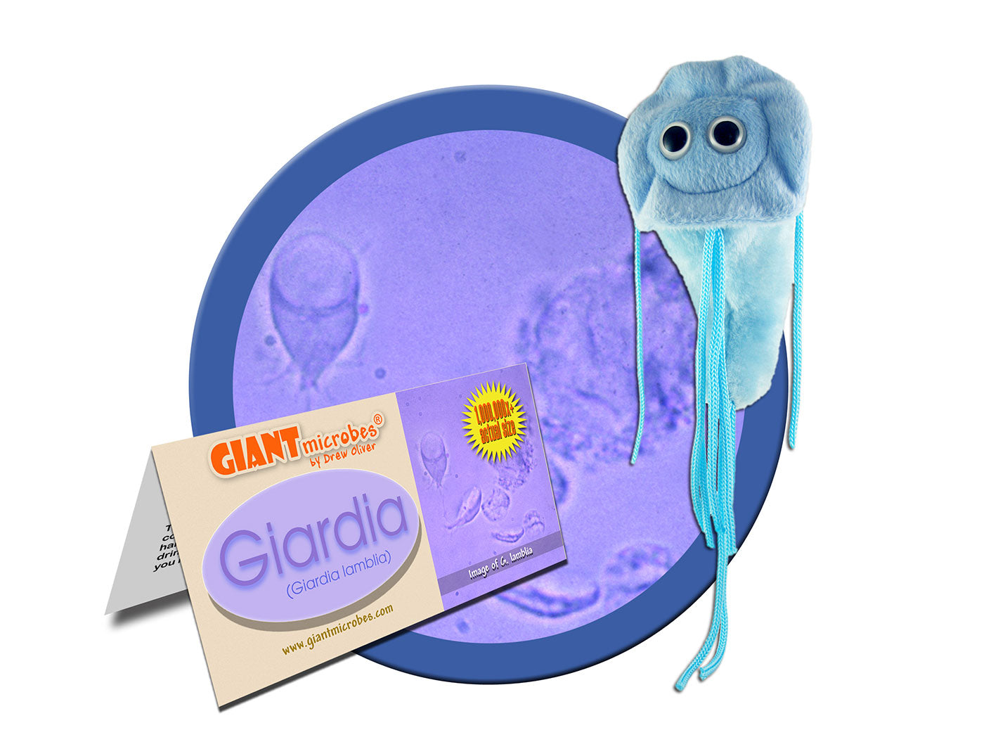 GIANTmicrobes Giardia - Questacon