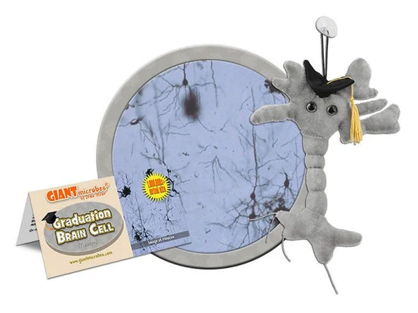 Brain Cell Graduate Giant Microbe - Questacon