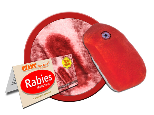 Rabies Giant Microbe - Questacon