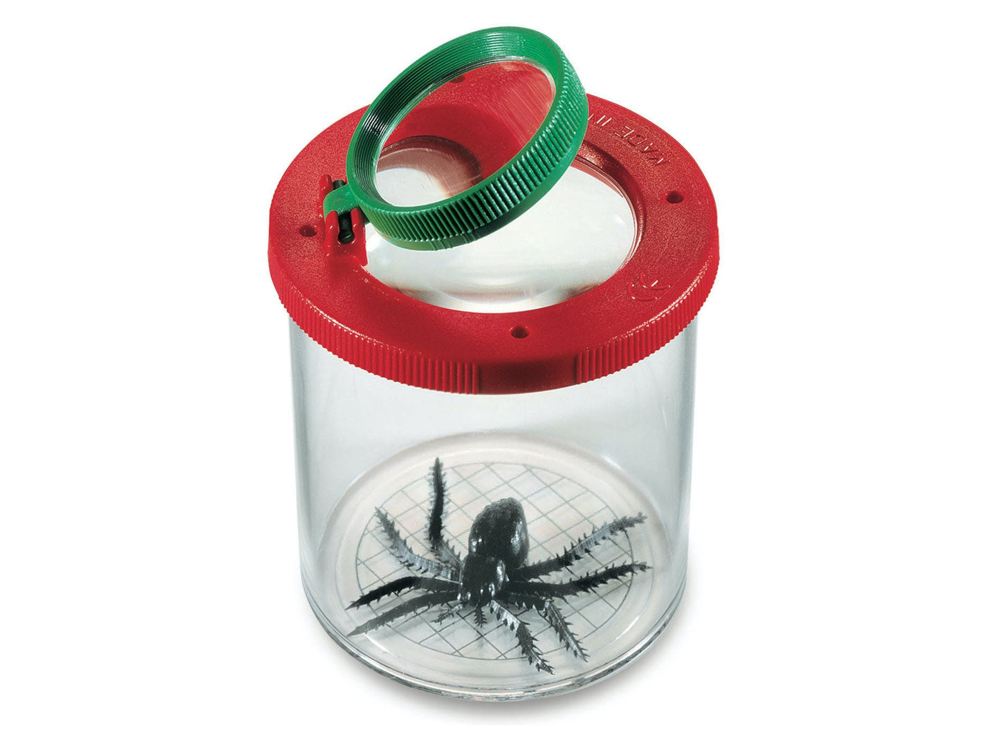 World's Best Bug Viewer – Questacon