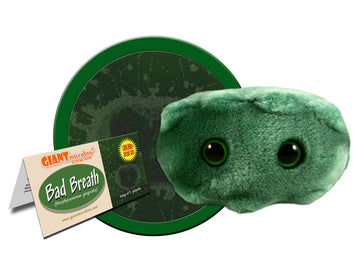 Giant Microbes – Questacon