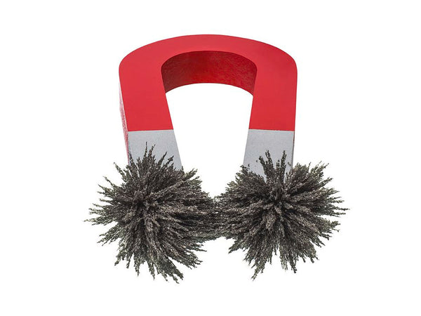 Iron Filings In Bubble Case - Questacon